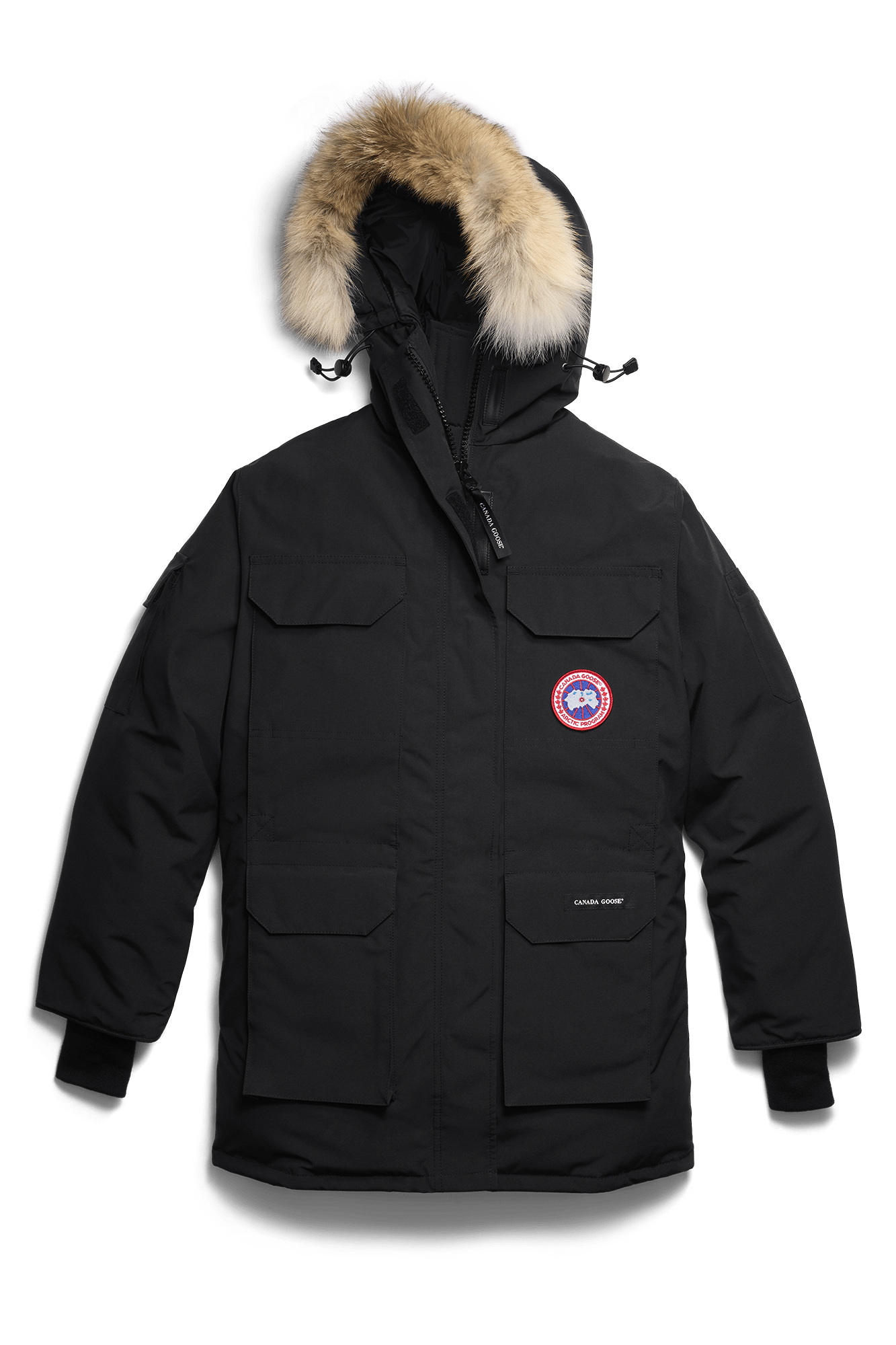 canada goose